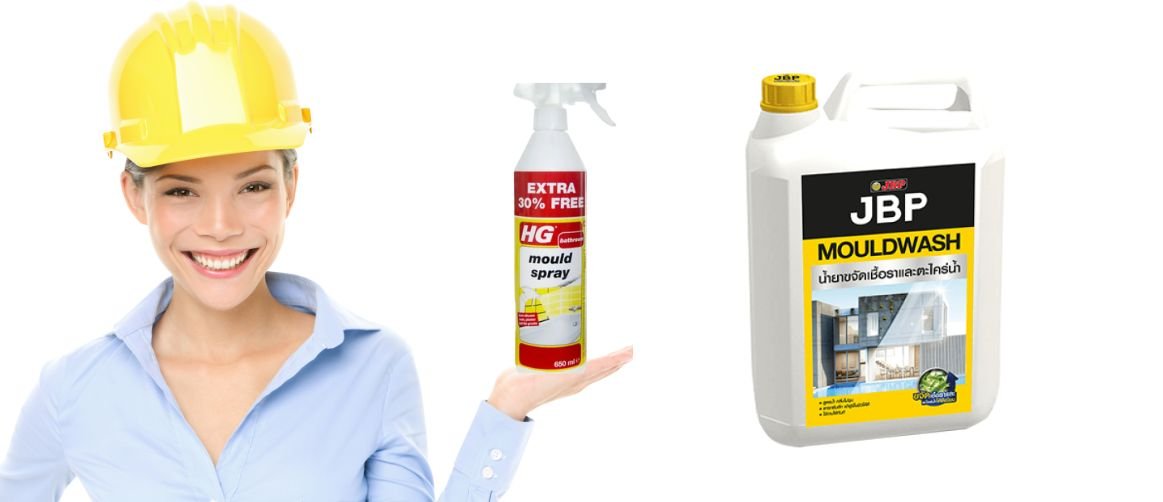 Control Mold: A Guide To Mold Prevention And Management