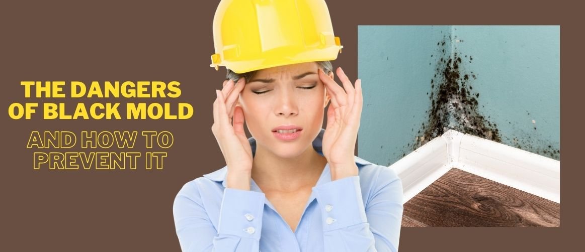 The Danger Of Black Mold And How To Eliminate It